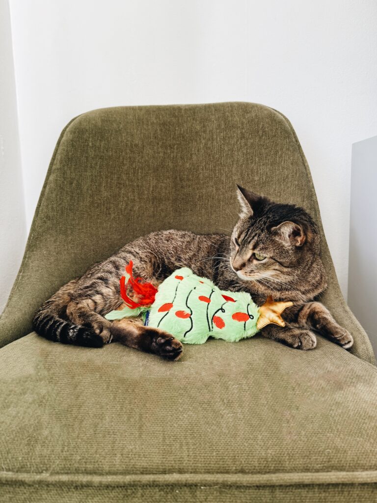 A Message to All of Us Millennials Turning 40 This Year - Honestly ...